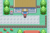 Pewter City | Pokémon Wiki | Fandom
