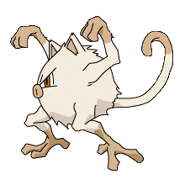 Mankey | Pokémon Wiki | Fandom