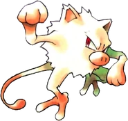 Mankey | Pokémon Wiki | Fandom