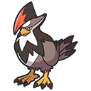 Staraptor | Pokémon Wiki | Fandom
