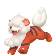 Growlithe | Pokémon Wiki | Fandom