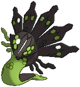 Zygarde | Pokémon Wiki | Fandom
