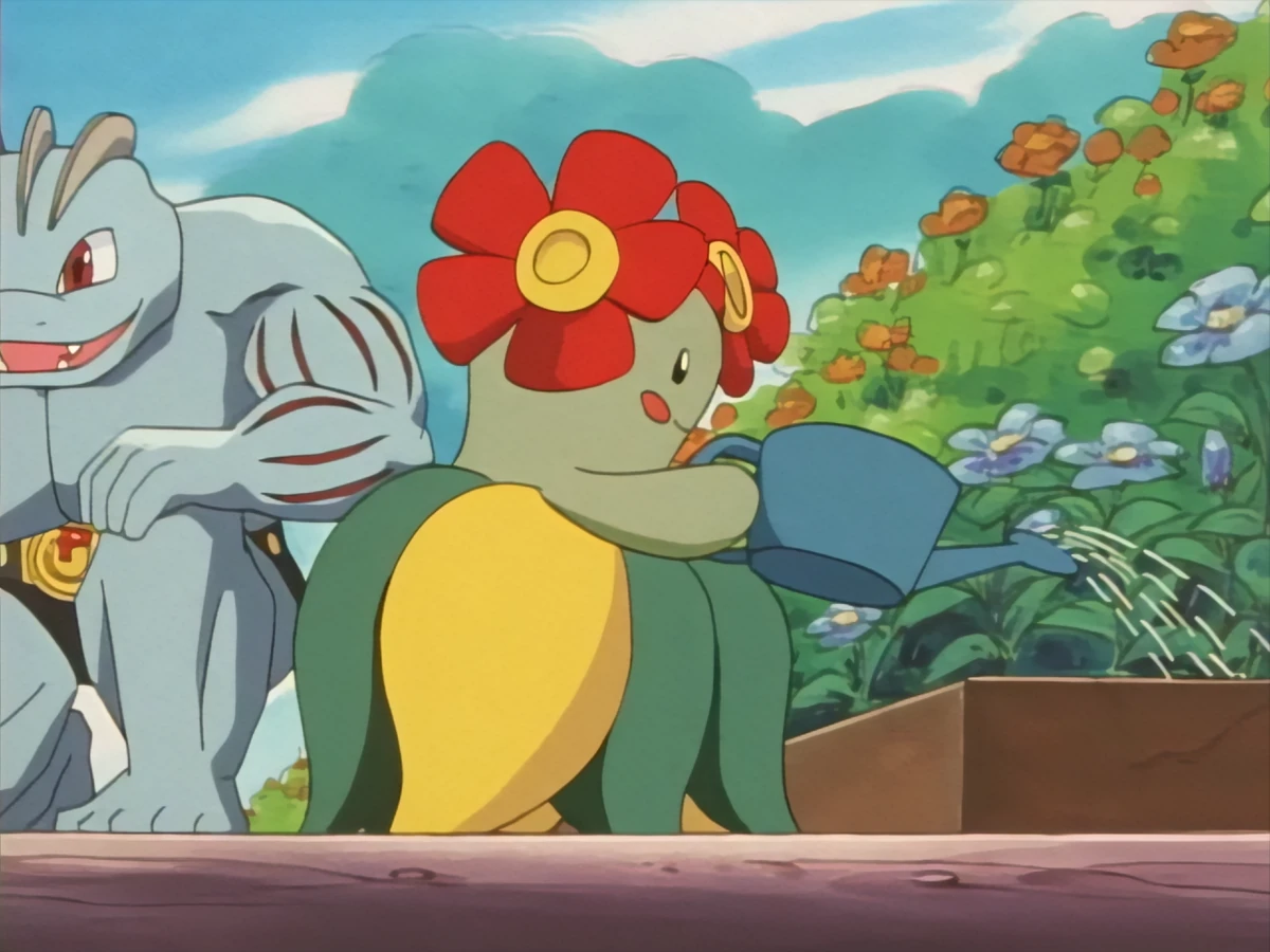 Haruno's Bellossom | Pokémon Wiki | Fandom