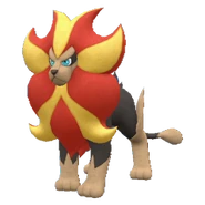 Pyroar | Pokémon Wiki | Fandom
