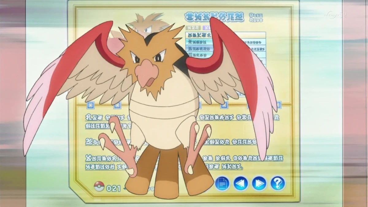 Red's Spearow | Pokémon Wiki | Fandom