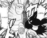 Tackle | Pokémon Wiki | Fandom