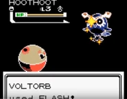 Flash | Pokémon Wiki | Fandom