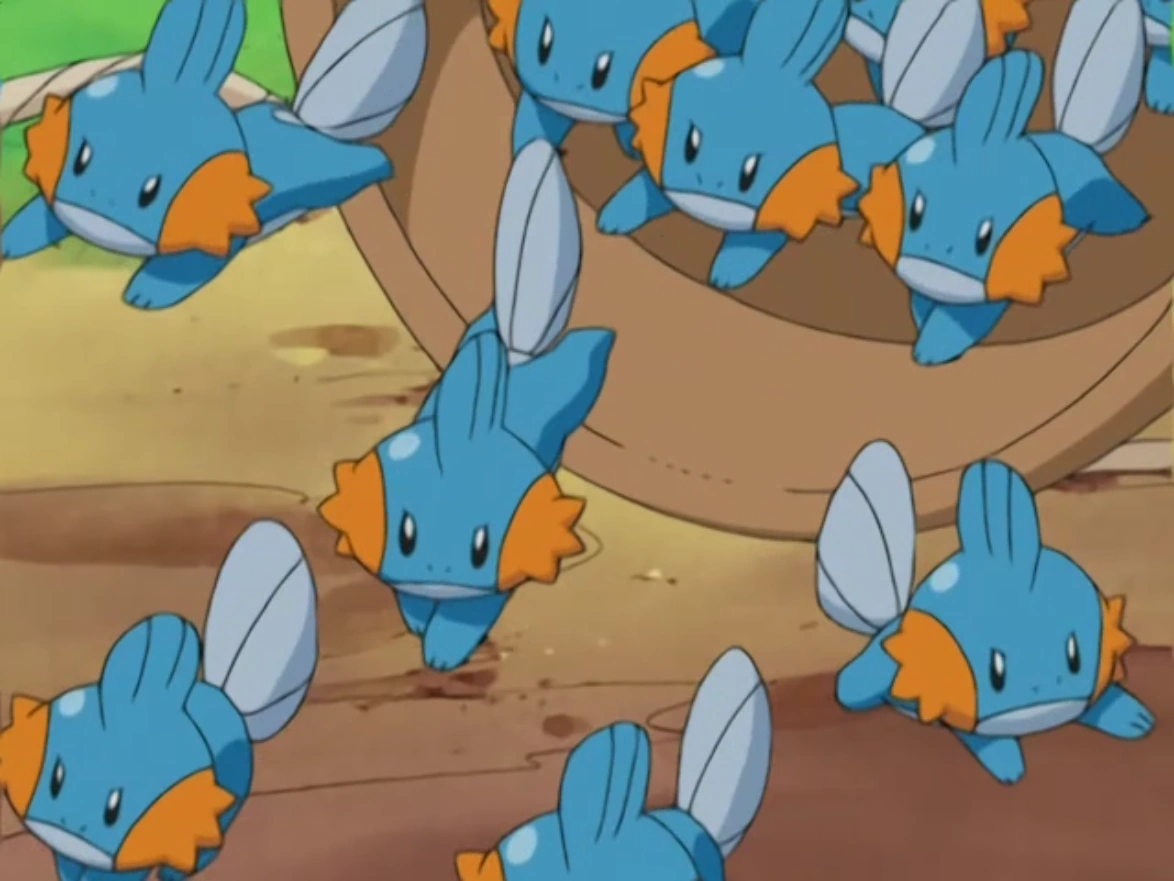 Old Man Swamp's Mudkip | Pokémon Wiki | Fandom