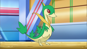 Servine | Pokémon Wiki | Fandom