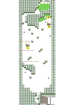 217번도로 | 포켓몬 위키 | Fandom