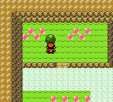 Route 25 | Pokémon Wiki | Fandom