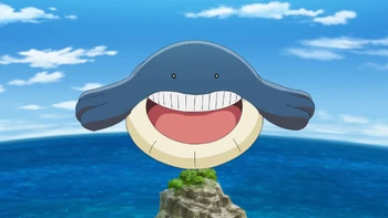 Wailord (PJ143) | Pokémon Wiki | Fandom