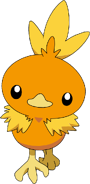 Torchic | Pokémon Wiki | Fandom