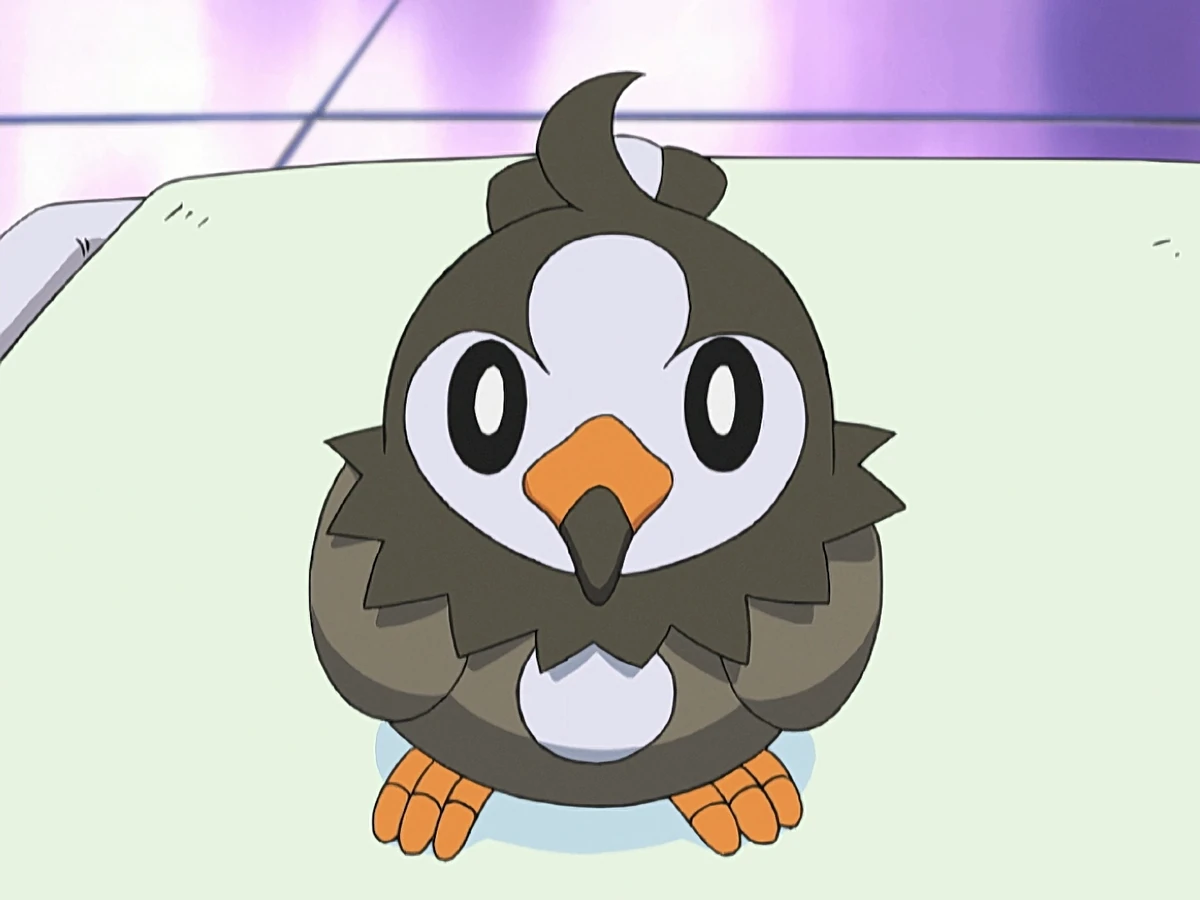Professor Rowan's Starly | Pokémon Wiki | Fandom
