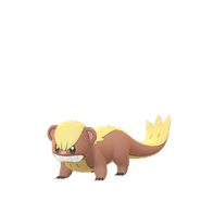 Yungoos | Pokémon Wiki | Fandom