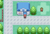 Pewter City | Pokémon Wiki | Fandom
