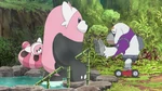 The Final Four! | Pokémon Wiki | Fandom