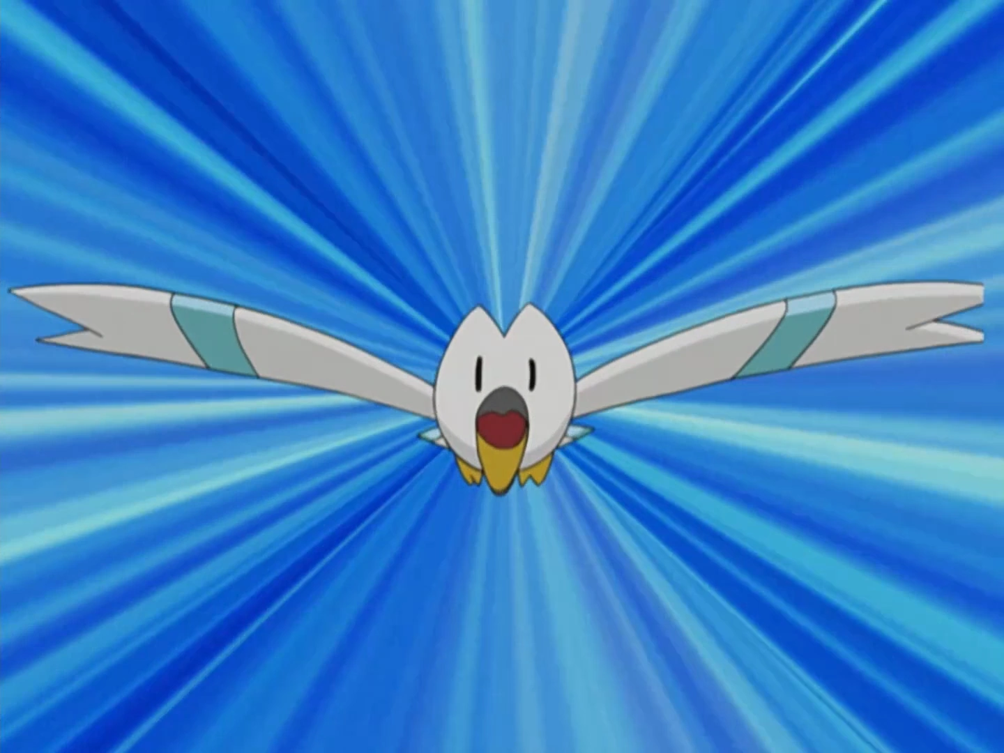 Mr. Moore's Wingull | Pokémon Wiki | Fandom