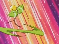 bulbasaur razor leaf