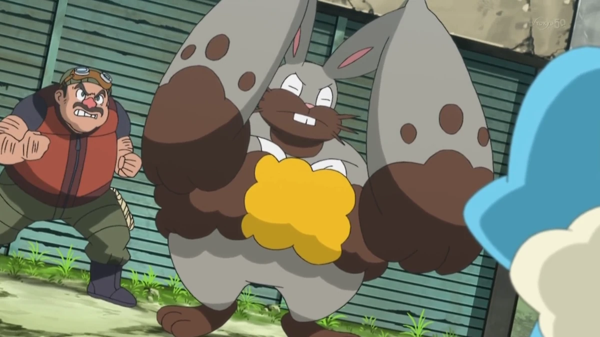 Dolan's Diggersby | Pokémon Wiki | Fandom