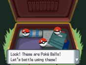 Lake Verity | Pokémon Wiki | Fandom