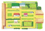 Pewter City | Pokémon Wiki | Fandom