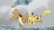 Sandy | Pokémon Wiki | Fandom