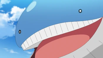 Wailord (PJ143) | Pokémon Wiki | Fandom