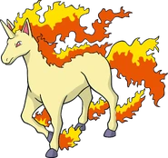 Rapidash | Pokémon Wiki | Fandom
