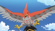 Talonflame | Pokémon Wiki | Fandom
