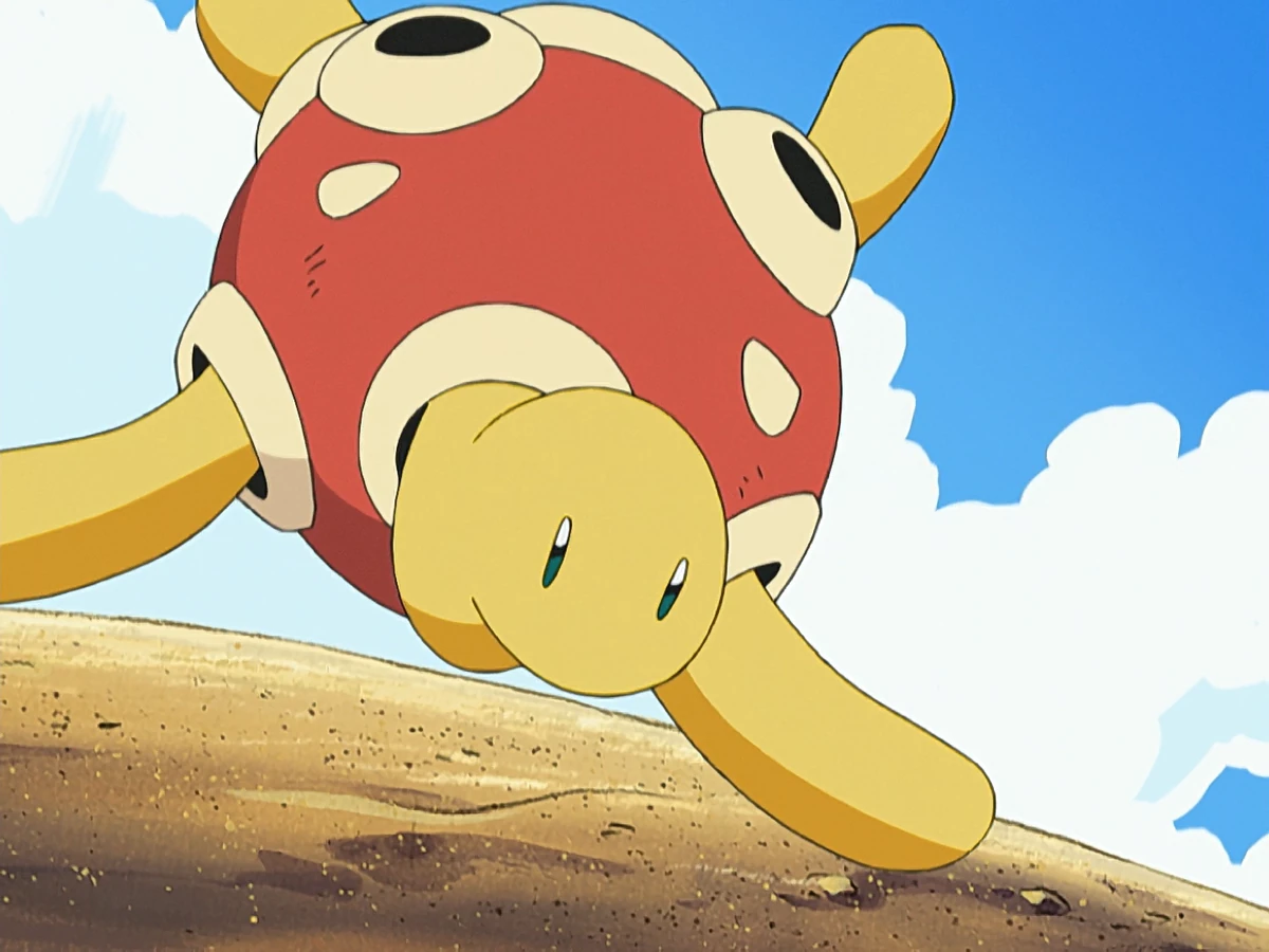 Butch's Shuckle | Pokémon Wiki | Fandom