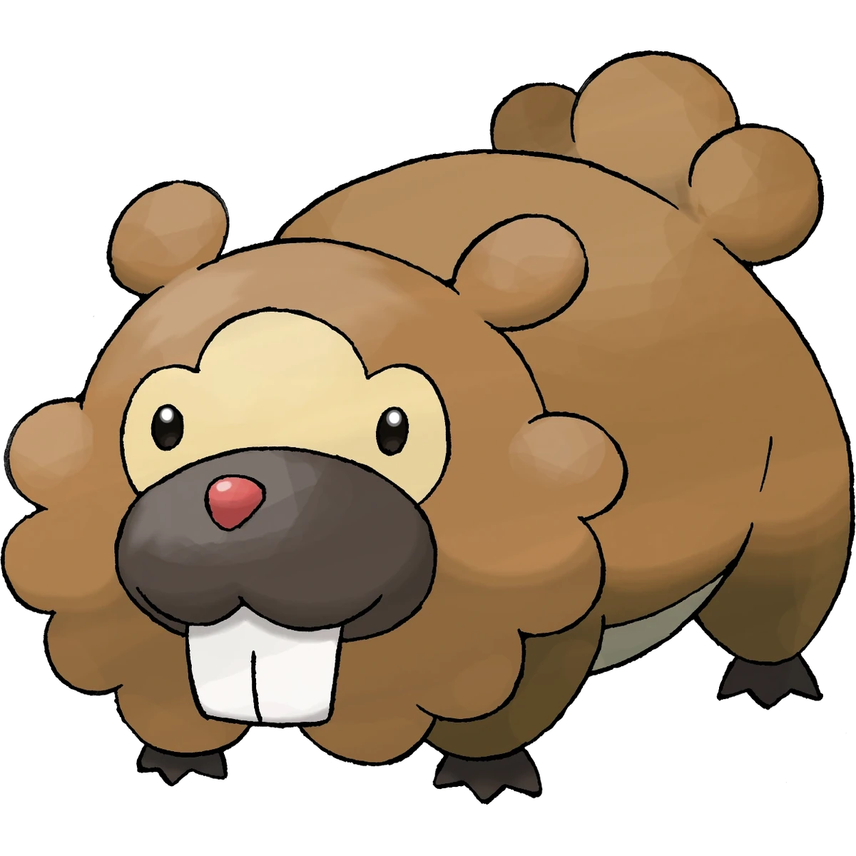Bidoof | Pokémon Wiki | Fandom