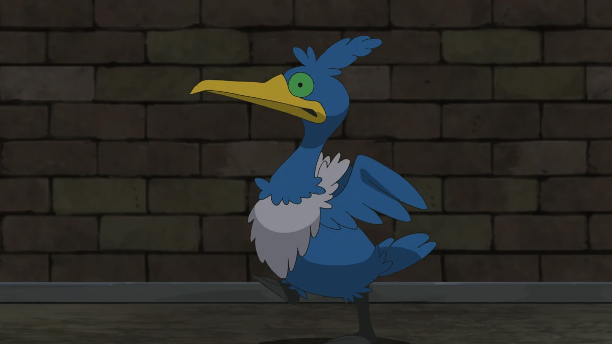 Team Rocket's Cramorant | Pokémon Wiki | Fandom