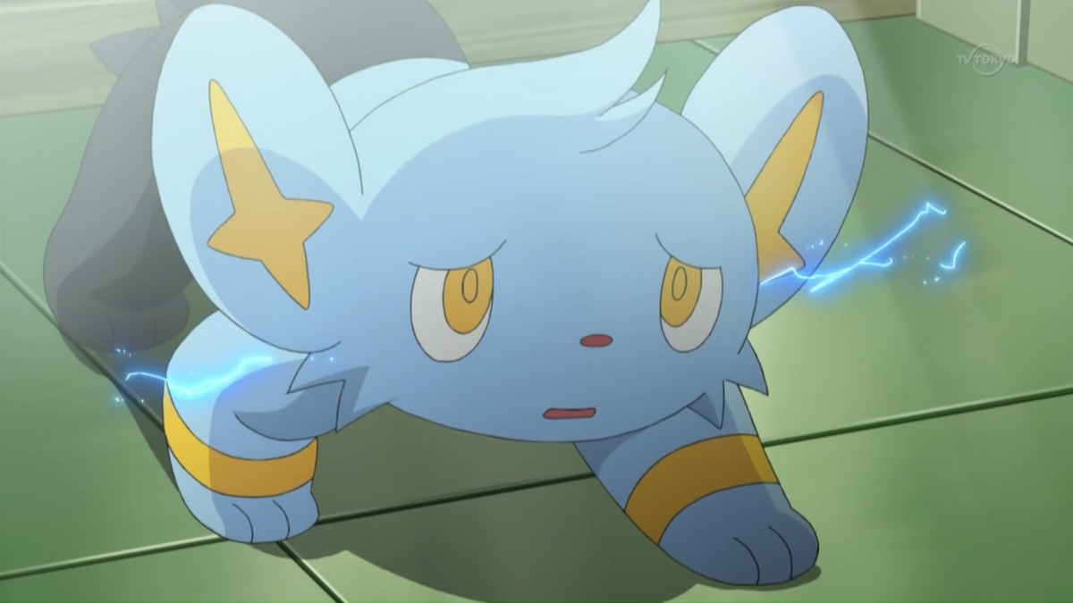 Cherens Shinx Pokémon Wiki Fandom
