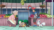 Snowy | Pokémon Wiki | Fandom