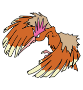 Fearow | Pokémon Wiki | Fandom