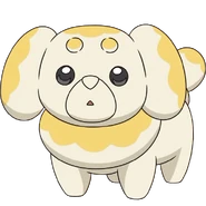 Fidough | Pokémon Wiki | Fandom