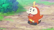 Fuecoco | Pokémon Wiki | Fandom