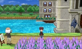 Route 7 (Kalos) | Pokémon Wiki | Fandom