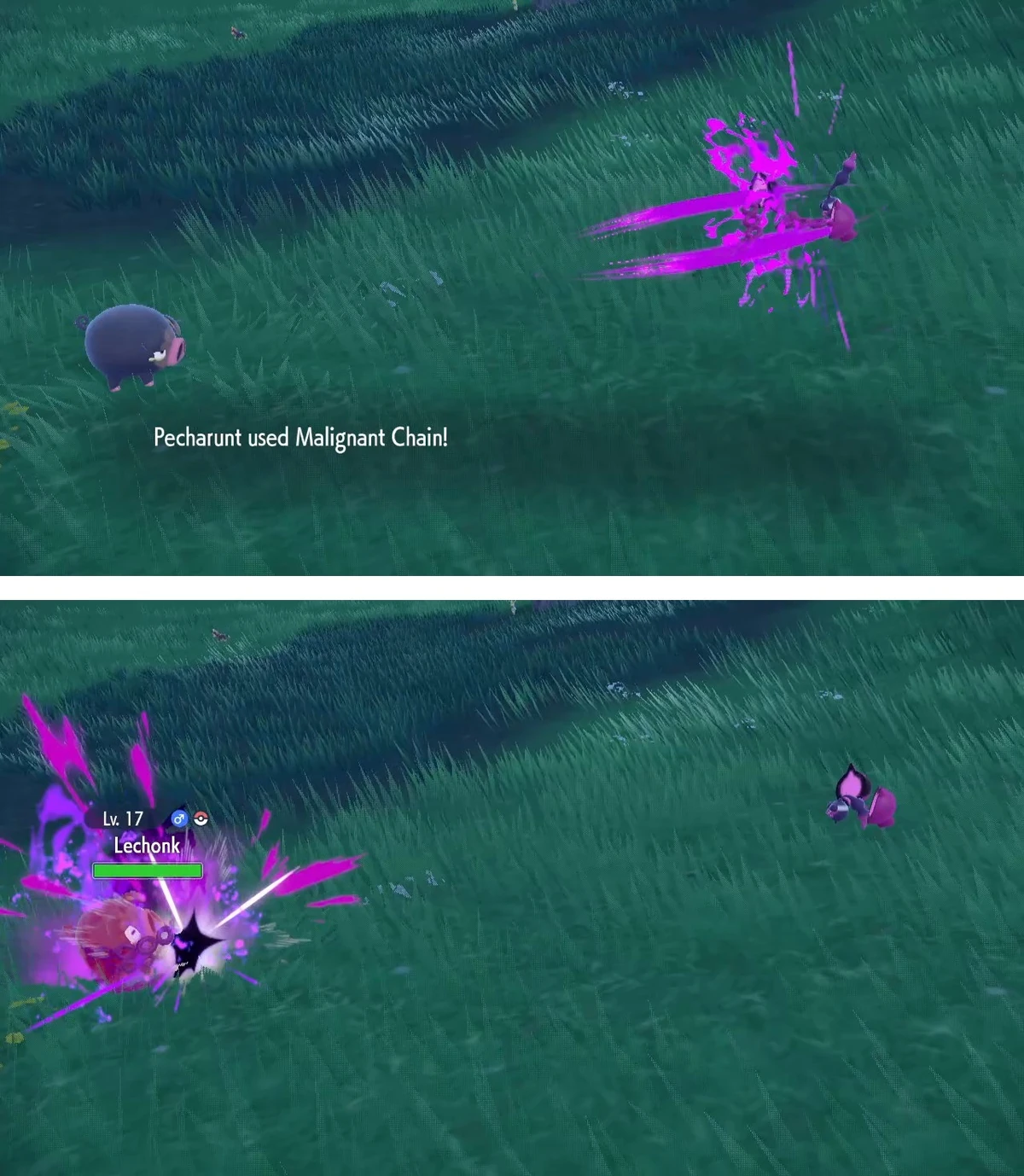 Malignant Chain | Pokémon Wiki | Fandom