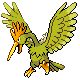 Fearow | Pokémon Wiki | Fandom