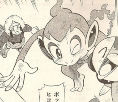 Ash's Chimchar | Pokémon Wiki | Fandom