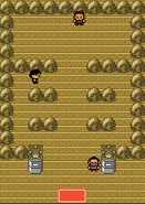 Pewter City Gym | Pokémon Wiki | Fandom