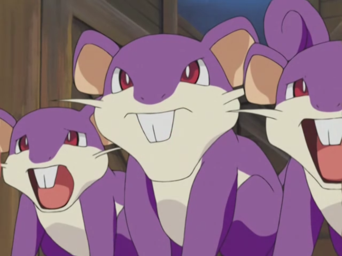 Rattata (GS158) | Pokémon Wiki | Fandom