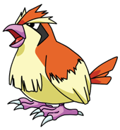 Pidgey | Pokémon Wiki | Fandom