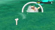 Bone Club | Pokémon Wiki | Fandom