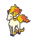 Rapidash | Pokémon Wiki | Fandom