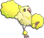 Oricorio | Pokémon Wiki | Fandom