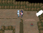 Wellspring Cave | Pokémon Wiki | Fandom