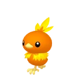Torchic | Pokémon Wiki | Fandom